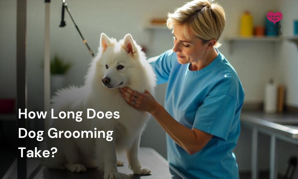 How Long Does Dog Grooming Take?