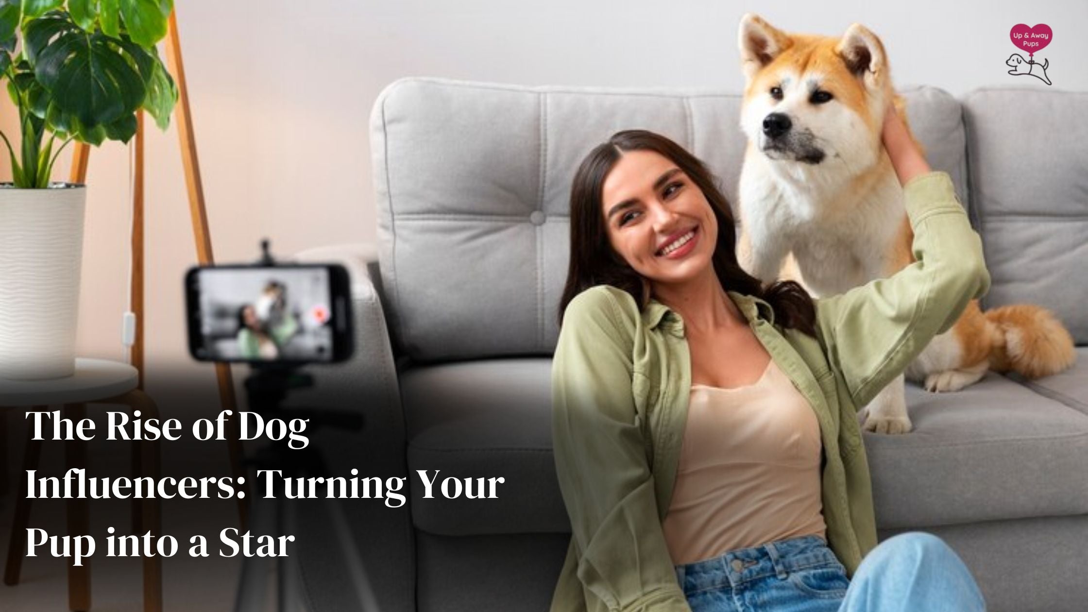 The Rise of Dog Influencers: Turning Your Pup into a Star